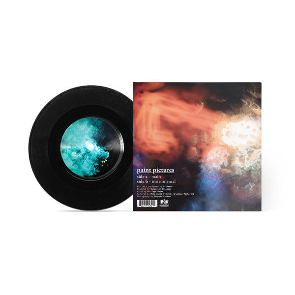 Evidence - Paint Pictures (7" Vinyl) - Rhymesayers Entertainment